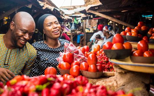 Achieving the SDGs through Food Systems Transformation - On the Road to ...