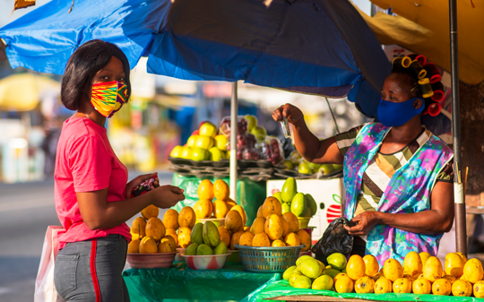 Effective interventions to increase food and nutrition security in ...