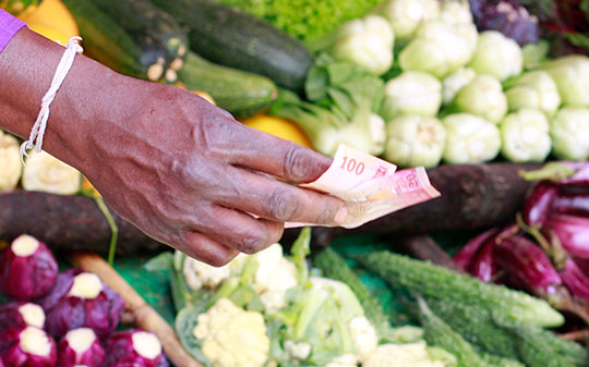 The future of food safety – Transforming knowledge into action for ...