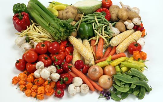 All-Africa Summit on Diversifying Food Systems with African Traditional ...