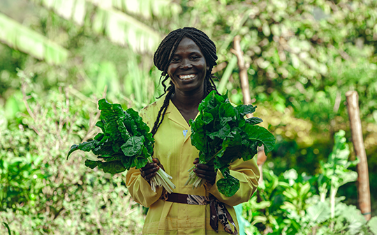 Nourishing a Sustainable Future: CASCADE’s strategy to improve ...