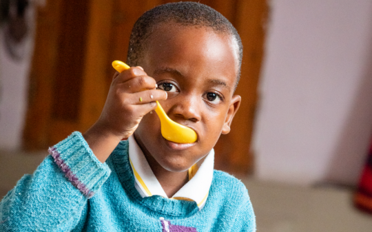 Paving the way to improved nutrition with fortified school meals for ...
