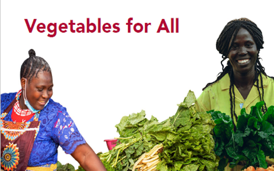 GAIN Kenya Vegetables for All Project Brief | GAIN