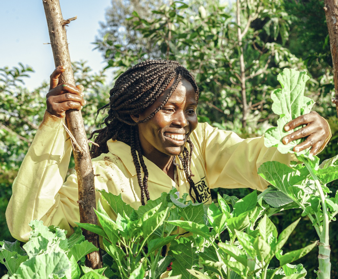 GAIN Working Paper Series 37 - Models for Workforce Nutrition ...