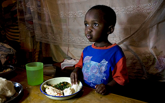 Determinants of effective complementary feeding