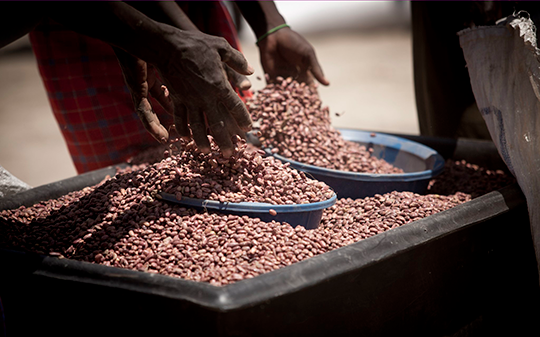 Review of grain fortification legislation, standards, and monitoring ...