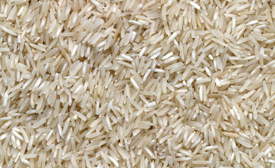 To overcome Zinc deficiency we must leverage biofortified rice in ...