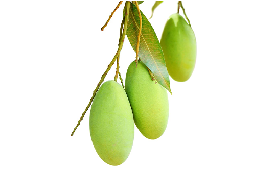 Scaling Up Fruit Tree Production to Improve Food Security, Nutrition ...