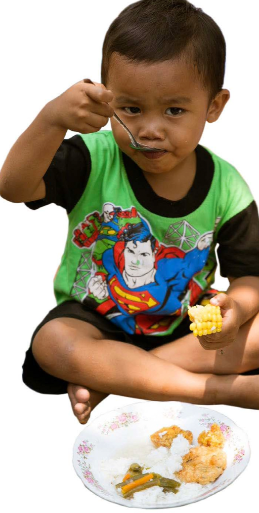 From Maps to Action Strengthening Indonesia’s Food Security through an Enhanced Food Security ...