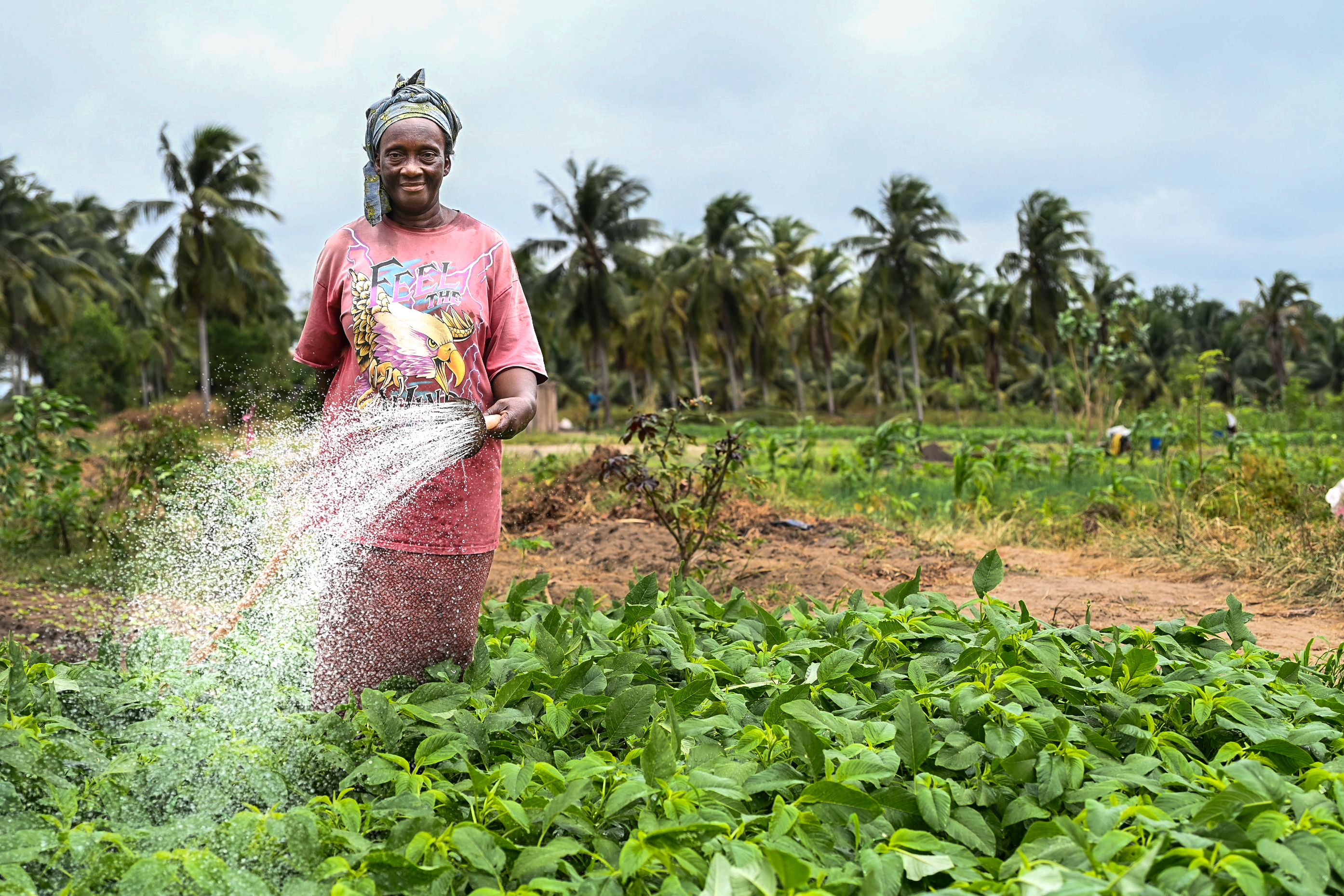 GAIN 2025 Nutrition for Growth (N4G) Commitments | GAIN