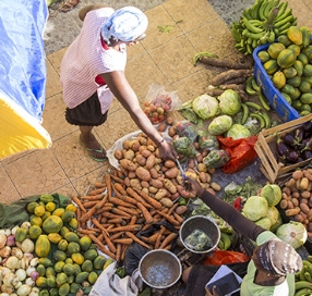 #ActionOnFood: COP27 Food Systems Pavilion announced | GAIN