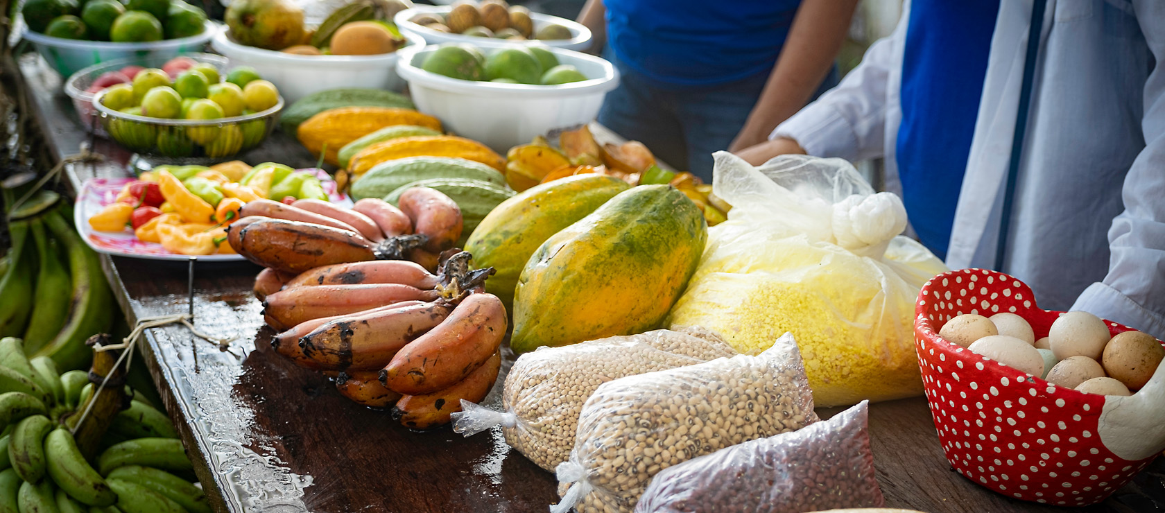 #ActionOnFood: COP27 Food Systems Pavilion announced | GAIN